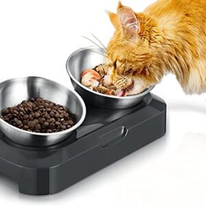 PewinGo Raised Cat Bowl with Stainless Steel, Non-Slip Silicone Mat & Raised Cat Feeder with 15° & 0° Tilting Neck Protective Bowl for Pets, Cats Food and Water Feeding