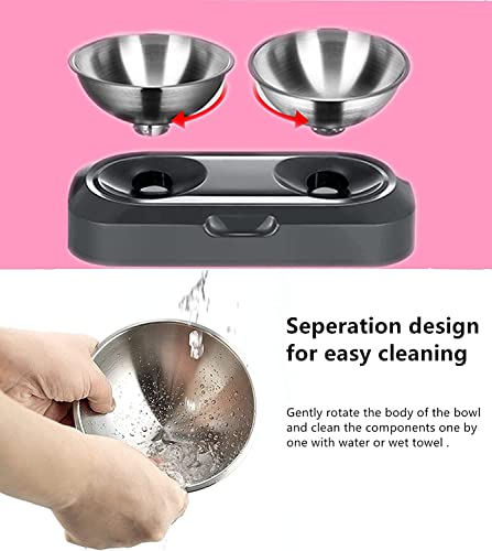 PewinGo Raised Cat Bowl with Stainless Steel, Non-Slip Silicone Mat & Raised Cat Feeder with 15° & 0° Tilting Neck Protective Bowl for Pets, Cats Food and Water Feeding