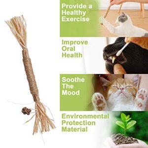 PAZ'S GIFT Catnip Toy Cat Toys Catnip Toy cat chew Toy cat Kicking silvervine Stick Teeth Cleaning Cute Kitten Teething Indoor Interactivecat Dental Care