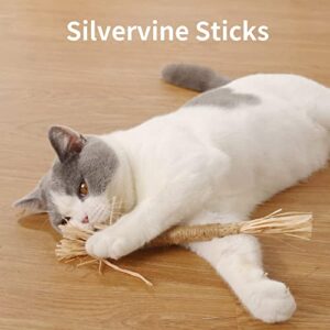 PAZ'S GIFT Catnip Toy Cat Toys Catnip Toy cat chew Toy cat Kicking silvervine Stick Teeth Cleaning Cute Kitten Teething Indoor Interactivecat Dental Care