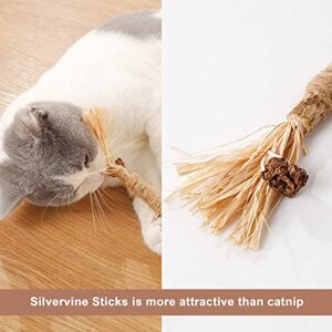 PAZ'S GIFT Catnip Toy Cat Toys Catnip Toy cat chew Toy cat Kicking silvervine Stick Teeth Cleaning Cute Kitten Teething Indoor Interactivecat Dental Care