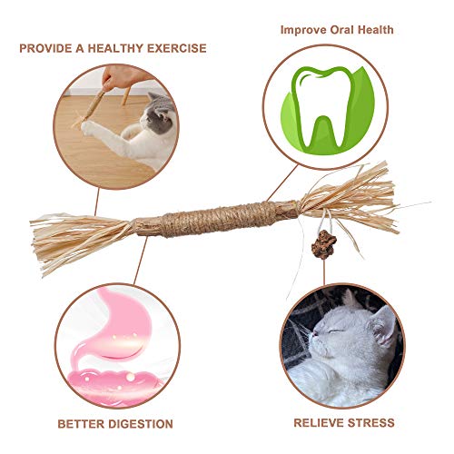 PAZ'S GIFT Catnip Toy Cat Toys Catnip Toy cat chew Toy cat Kicking silvervine Stick Teeth Cleaning Cute Kitten Teething Indoor Interactivecat Dental Care