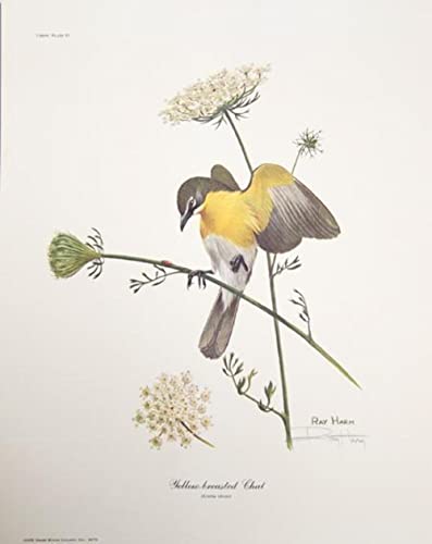 Ray Harm, Yellow-Breasted Chat