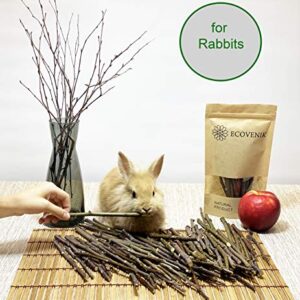 Apple Sticks 120 Gram Rabbit & Hamster Chew Toys - 100% Natural & Organic Chinchilla Food, Treats for Guinea Pig, Squirrels, Parrots & Other Small Animals (Made in Ukraine)