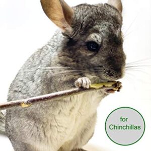 Apple Sticks 120 Gram Rabbit & Hamster Chew Toys - 100% Natural & Organic Chinchilla Food, Treats for Guinea Pig, Squirrels, Parrots & Other Small Animals (Made in Ukraine)