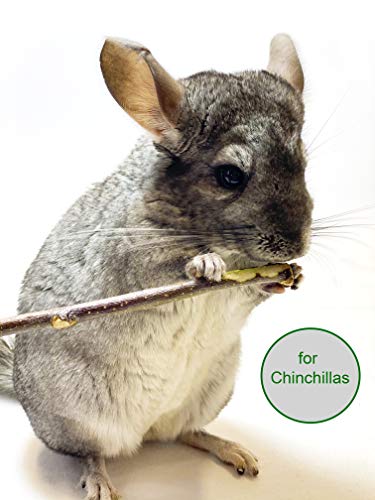 Apple Sticks 120 Gram Rabbit & Hamster Chew Toys - 100% Natural & Organic Chinchilla Food, Treats for Guinea Pig, Squirrels, Parrots & Other Small Animals (Made in Ukraine)