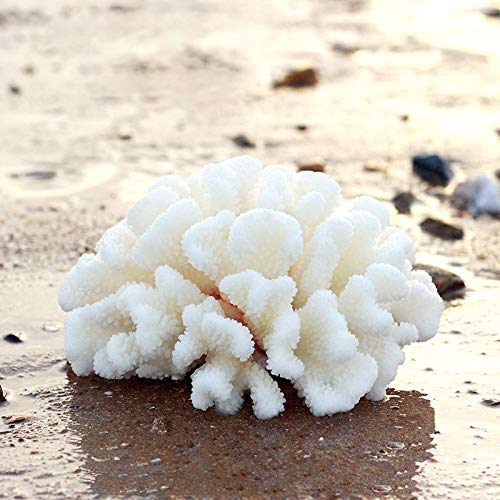 Pack of 2 Artificial Coral Ornament, Aquarium Resin Coral Decor Underwater Sea Plants Fish Tank Decoration Aquarium Plants