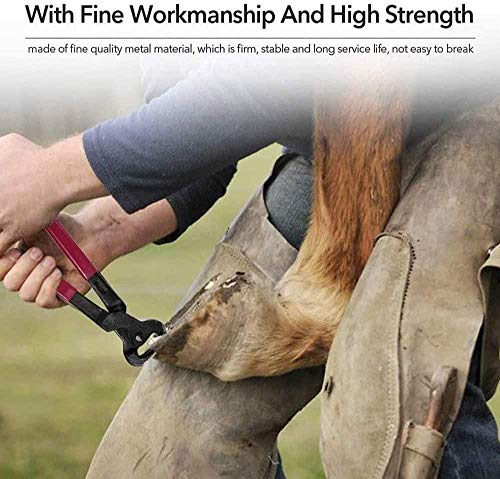 CARLAMPCR Hoof Trimmers Goat Hoof Trimming Shears Nail Clippers, Horse Farrier Tool, Multi-Purpose Hoof Trimmers for Goats Sheep Pigs Cattle Horses, with Rubber Grip, Durable and Convenient