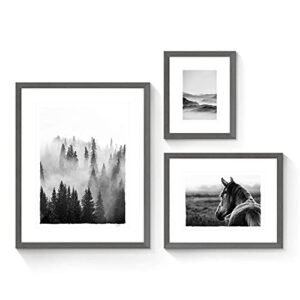 sunflax nature view pictures prints framed - mysterious foggy scenery photography black and white wall art with wooden frame for bathroom, living room, bedroom, office 3 panels