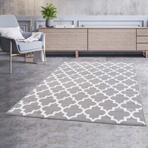 Msrugs Area Rugs, 3x5 Trellis Collection Modern Gray White Area Rug, Contemporary Soft Cozy Carpet for Living Room and Bedroom