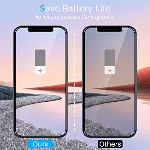 LϟK [2+3 Pack] Designed for iPhone 12 Pro Max 5G 6.7 inch, 2 Pack Privacy Screen Protector + 3 Pack Camera Lens Protector, 9H Hardness Case Friendly, Installation Tray [Not for iPhone 12 Pro]