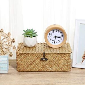 BESPORTBLE Handwoven Seagrass Rattan Storage Basket Rattan Storage Basket Multipurpose Container with Lid for Decoration, Picnic, Groceries and Toy Storage