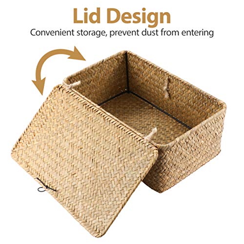 BESPORTBLE Handwoven Seagrass Rattan Storage Basket Rattan Storage Basket Multipurpose Container with Lid for Decoration, Picnic, Groceries and Toy Storage