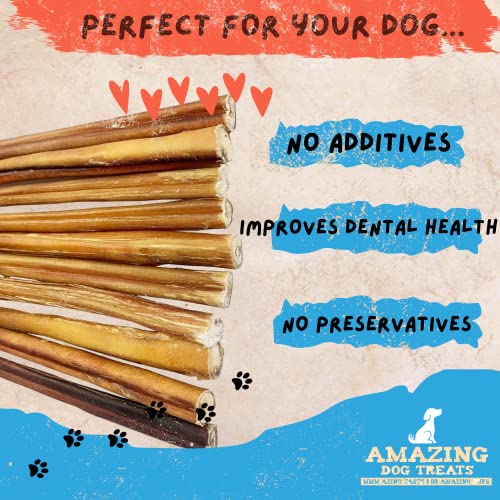 Bully Sticks 6 Inch Regular Size (10 Pcs/Pack) - Premium Bully Stick Dog Chews - Long Lasting Bully Sticks for Dogs - Best Bully Stick Dog Bone - No Hide Dog Chew