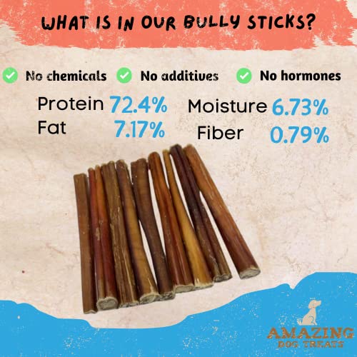 Bully Sticks 6 Inch Regular Size (10 Pcs/Pack) - Premium Bully Stick Dog Chews - Long Lasting Bully Sticks for Dogs - Best Bully Stick Dog Bone - No Hide Dog Chew