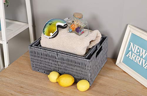 Elevon BalanceFrom Handmade Storage Baskets Organizer Bins, Set of 3