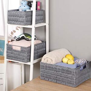 Elevon BalanceFrom Handmade Storage Baskets Organizer Bins, Set of 3