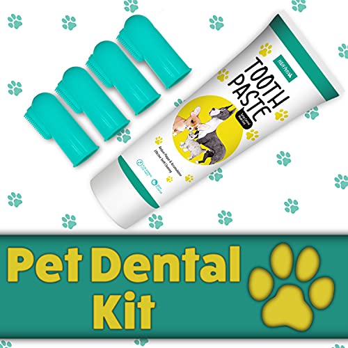 H&H Pets Dog Toothbrushes and Toothpaste Best Professional Cat & Dog Finger Tooth Brush, Dog Brush Set, Perfect for Dogs and Cats, Dog Supplies - Size Small 4 Count 3.5 Oz Toothpaste (100g)