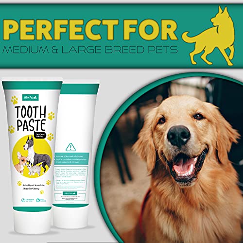 H&H Pets Dog Toothbrushes and Toothpaste Best Professional Cat & Dog Finger Tooth Brush, Dog Brush Set, Perfect for Dogs and Cats, Dog Supplies - Size Small 4 Count 3.5 Oz Toothpaste (100g)