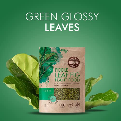 Fiddle Leaf Fig Tree Plant Food - Slow Release Fertilizer Pellets for Potted Figs - Steady Nutrients to Grow Healthy Indoor and Outdoor Ficus Plants (5 oz)