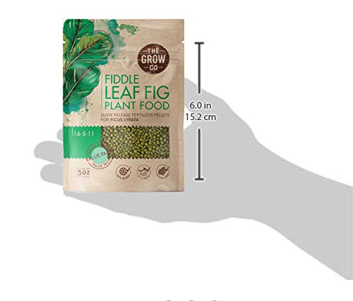 Fiddle Leaf Fig Tree Plant Food - Slow Release Fertilizer Pellets for Potted Figs - Steady Nutrients to Grow Healthy Indoor and Outdoor Ficus Plants (5 oz)