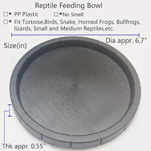 Fuongee Reptile Feeding Dish Bowl Food and Water Bowl Tortoise Dish Reptile Tank Decor, Dia 6.7 Inches, Round