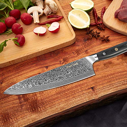 SanCook Damascus Chef Knife Kitchen Knife 8 Inch, Professional Damascus Steel Knife Japanese VG10 Super Stainless Steel Blade with G10 Handle, Chef Gifts for Halloween,Christmas