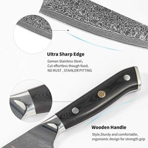 SanCook Damascus Chef Knife Kitchen Knife 8 Inch, Professional Damascus Steel Knife Japanese VG10 Super Stainless Steel Blade with G10 Handle, Chef Gifts for Halloween,Christmas