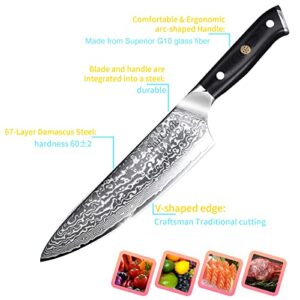 SanCook Damascus Chef Knife Kitchen Knife 8 Inch, Professional Damascus Steel Knife Japanese VG10 Super Stainless Steel Blade with G10 Handle, Chef Gifts for Halloween,Christmas