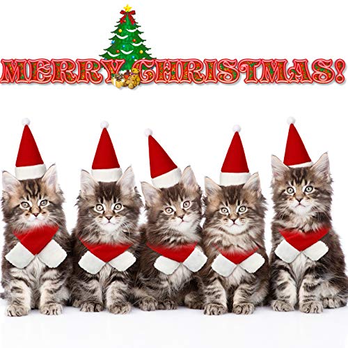 3 Sets Cat Santa Hat with Scarf Christmas Pet Outfit Adjustable Pet Costume Set Pet Santa Clause Apparel Puppy Dog Santa Hat New Year