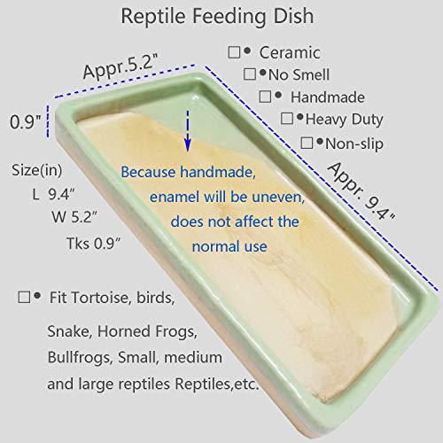 Fuongee Reptile Feeding Dish Bowl Food and Water Bowl Tortoise Dish Reptile Tank Decor, Heavy Duty Ceramic Feeding Dish, Large Size