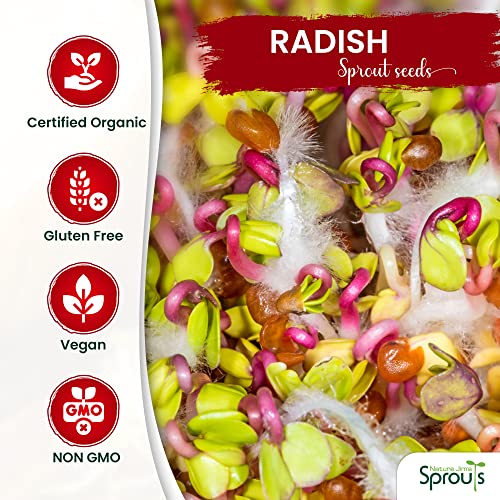 Nature Jims Radish Sprout Seeds – 16 Ounce Organic Sprouting Seeds – Non-GMO Premium Radish Seeds – Resealable Bag for Longer Freshness – Rich in Vitamins, Minerals, Fiber