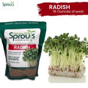 Nature Jims Radish Sprout Seeds – 16 Ounce Organic Sprouting Seeds – Non-GMO Premium Radish Seeds – Resealable Bag for Longer Freshness – Rich in Vitamins, Minerals, Fiber