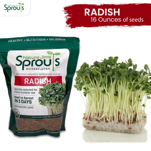 Nature Jims Radish Sprout Seeds – 16 Ounce Organic Sprouting Seeds – Non-GMO Premium Radish Seeds – Resealable Bag for Longer Freshness – Rich in Vitamins, Minerals, Fiber