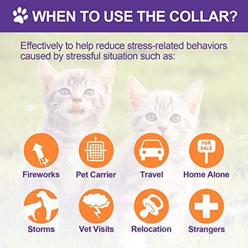 4 Pcs Calming Cats Collar Adjustable Cat Calm Collar Lavender Scent Relaxing Cat Collar with 2 Pendant for Puppies Cats Reduce Stress Aggression Anxious, up to 15 Inches (Purple, Gold)