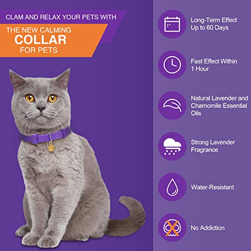 4 Pcs Calming Cats Collar Adjustable Cat Calm Collar Lavender Scent Relaxing Cat Collar with 2 Pendant for Puppies Cats Reduce Stress Aggression Anxious, up to 15 Inches (Purple, Gold)