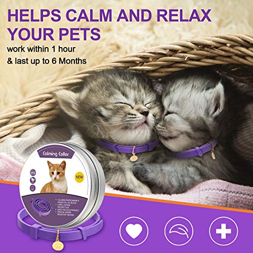 4 Pcs Calming Cats Collar Adjustable Cat Calm Collar Lavender Scent Relaxing Cat Collar with 2 Pendant for Puppies Cats Reduce Stress Aggression Anxious, up to 15 Inches (Purple, Gold)