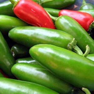 25+ Early Jalapeno Pepper Seeds, Heirloom, Country Creek LLC, Non-GMO, Spicy & Delicious