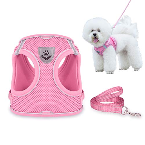 Dog Harness and Leash Set for Walking, Escape Proof Vest Harness with Soft Mesh, Adjustable Velcro, Reflective Strips for Kitten Cats and Puppy Dogs