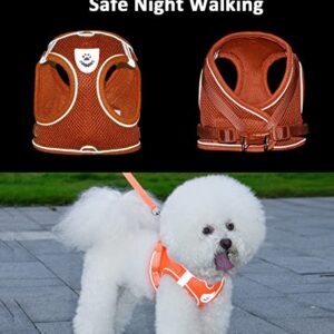 Dog Harness and Leash Set for Walking, Escape Proof Vest Harness with Soft Mesh, Adjustable Velcro, Reflective Strips for Kitten Cats and Puppy Dogs