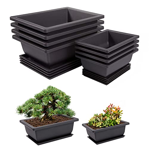 8 Packs Bonsai Training Pot with Humidity Tray - 6.5inch & 8.9inch Small Bonsai Tree Pots Kit, Plastic Plants Growing Planter with Drainage Tray, Indoor Decor Garden Yard