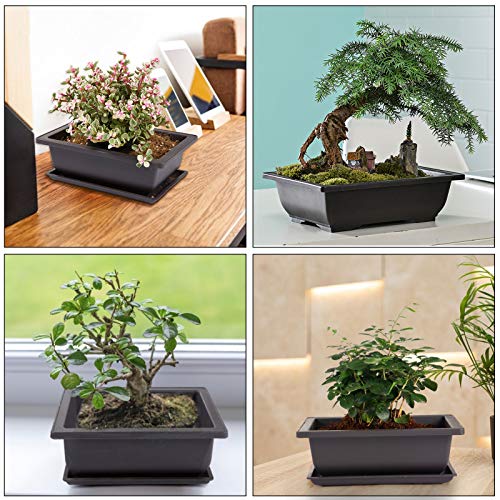 8 Packs Bonsai Training Pot with Humidity Tray - 6.5inch & 8.9inch Small Bonsai Tree Pots Kit, Plastic Plants Growing Planter with Drainage Tray, Indoor Decor Garden Yard