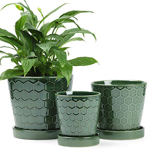 BUYMAX Succulent Planter –4”+5”+6” inch Ceramic Flower Pot with Drainage Holes and Ceramic Tray - Gardening Home Desktop Office Windowsill Decoration Gift Set 3 - Plants NOT Included (Patina)