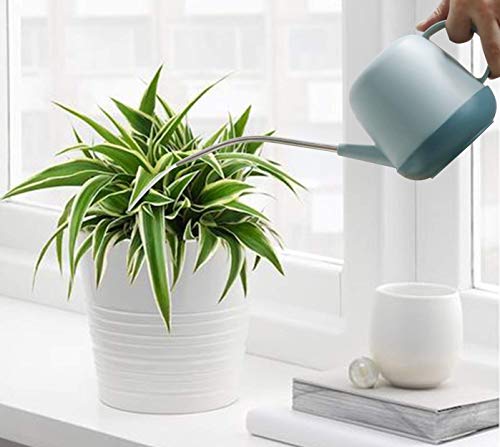 SAROSORA Nordic Watering Can for Plants Garden Flower Long Spout 1.2L Helps You Water Tiny House Plants, Succulent, Bonsai or Herb Gardens Indoor Outdoor (Blue)