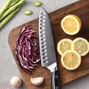 Damascus Kitchen Knife, 7 Inch Santoku Knife Professional Kitchen Knife Forged with VG10 Super Steel 67-Layer Damascus, Non-slip ABS Ergonomic Triple Rivet Handle, Razor Sharp Lightweight Multipurpose