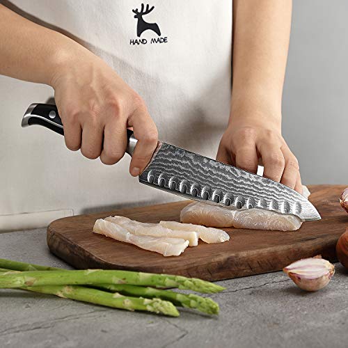 Damascus Kitchen Knife, 7 Inch Santoku Knife Professional Kitchen Knife Forged with VG10 Super Steel 67-Layer Damascus, Non-slip ABS Ergonomic Triple Rivet Handle, Razor Sharp Lightweight Multipurpose