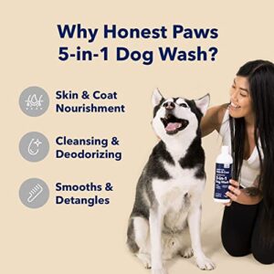 Honest Paws Dog Shampoo and Conditioner - 5-in-1 for Allergies and Dry, Itchy, Moisturizing for Sensitive Skin - Sulfate Free, Plant Based, All Natural, with Aloe and Oatmeal -16 Fl Oz