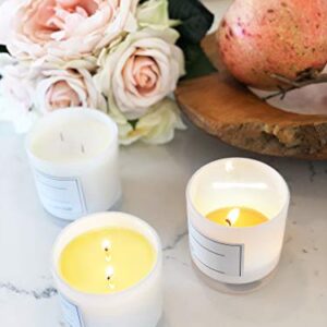 Persimmon, Bergamot & Sandalwood scented candle (7oz./200g.) Made with coconut wax blend, highly scented. Medium size candle with two wicks. Handmade in Los Angeles, CA.