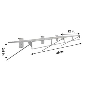 Crownwall Universal Slatwall Steel Wire Shelf with Rail, 2-Pack (48-in x 12-in)