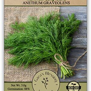 Gaea's Blessing Seeds - Dill Seeds - Mammoth Long Island - Non-GMO Seeds with Easy to Follow Instructions - Heirloom 88% Germination Rate Net Wt. 3.0g